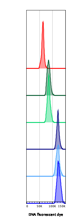 Flowjoanna: Plant Ploidy, Plant Genome Size, Animal Ploidy, and Animal ...